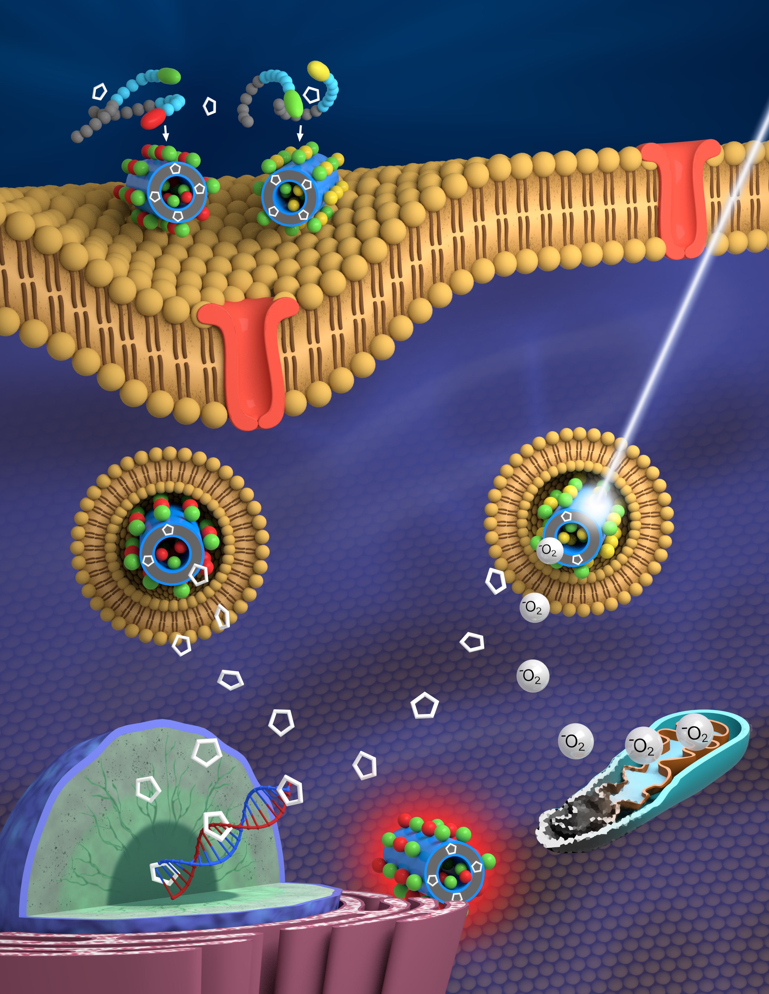 New Nanotube Drug Delivery Shows Promise | News Release | PNNL